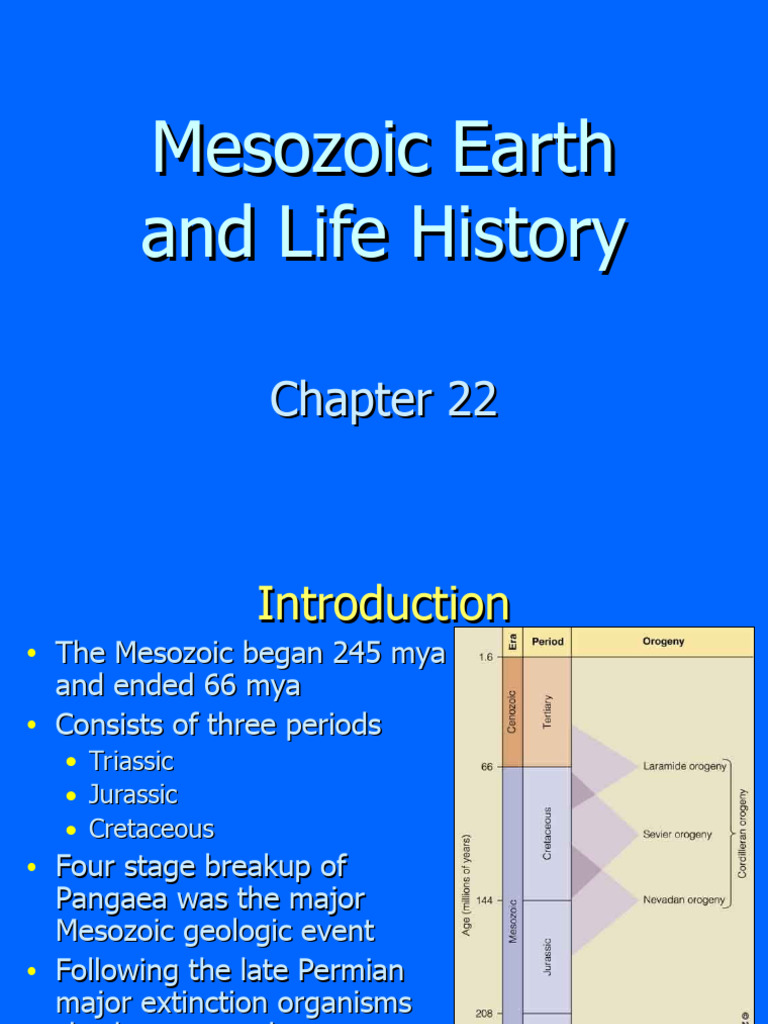 Mesozoic Era: Pangaea's Breakup Explained | PDF | Cretaceous | Dinosaurs