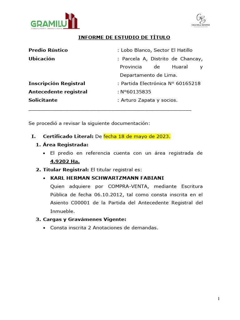 INFORME DE ESTUDIO DE TÍTULO Chancay #60165218 | PDF