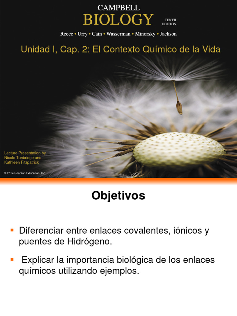 CAP02 | PDF | Enlace covalente | Enlace químico