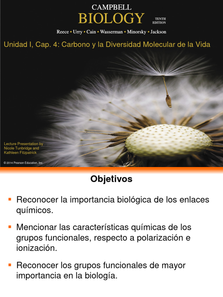 CAP04 | PDF | Isómero | Hidrocarburos