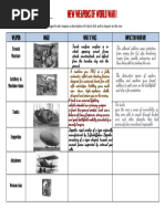M4 Pmi | PDF | Rifle | Trigger (Firearms)
