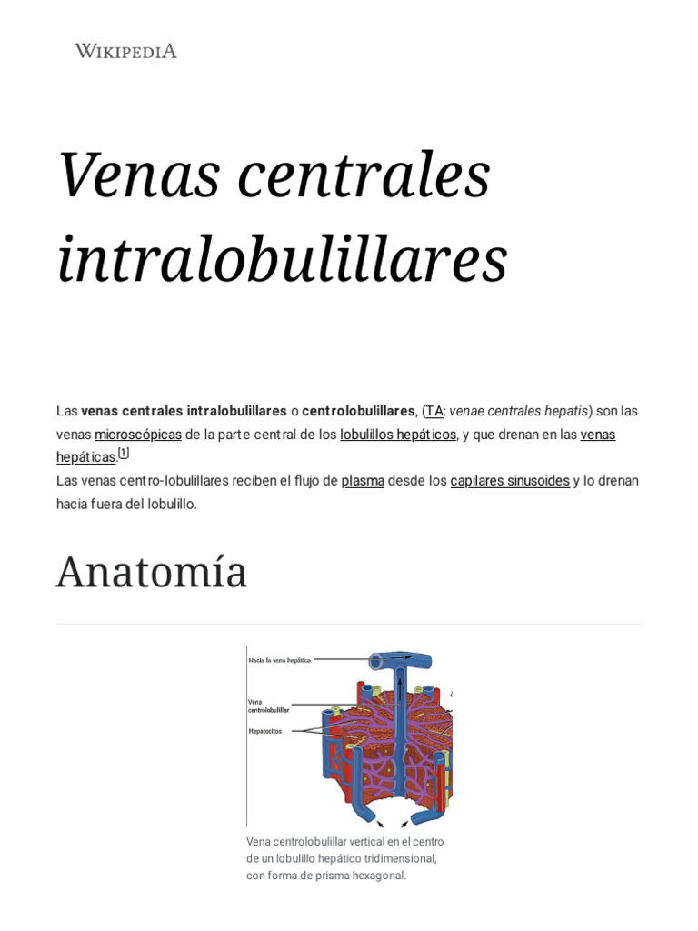 Anatomía de las venas centrolobulillares | PDF | Biología | Anatomia animal