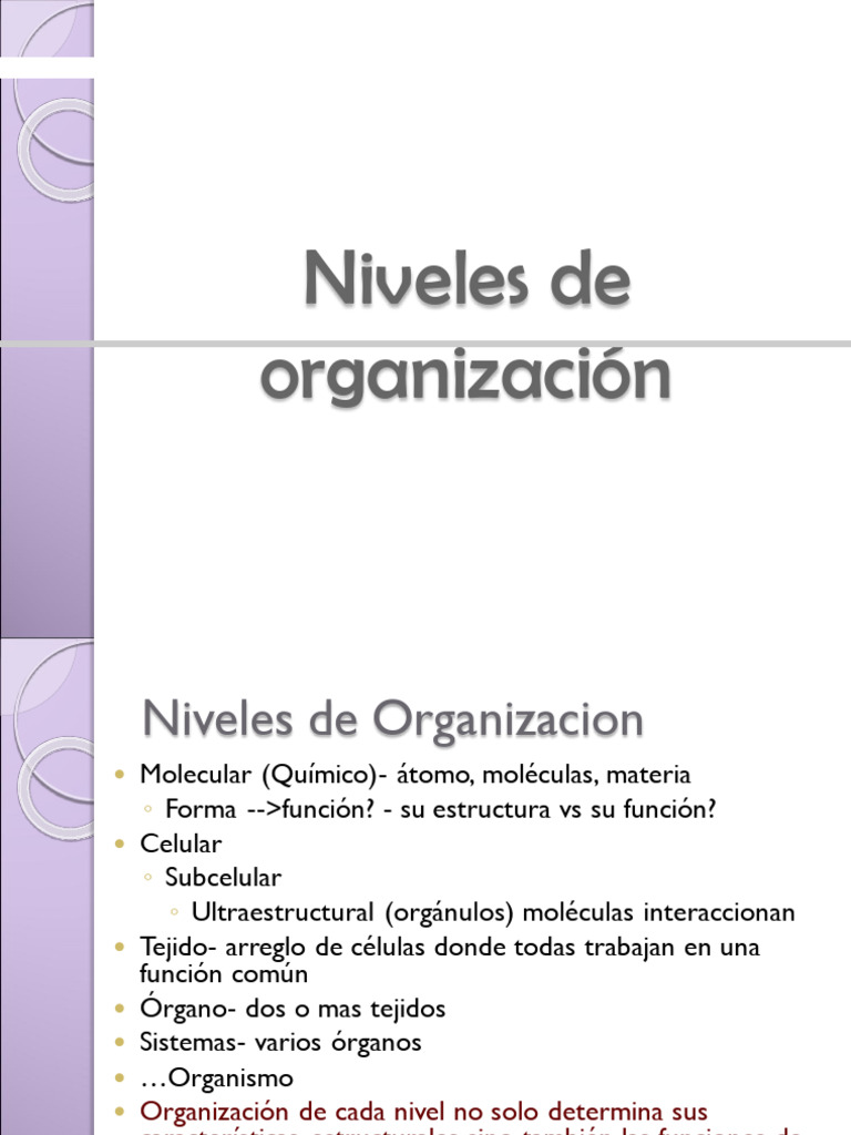 Nivel de Organizacion Tisular | PDF | Músculo | Anatomía
