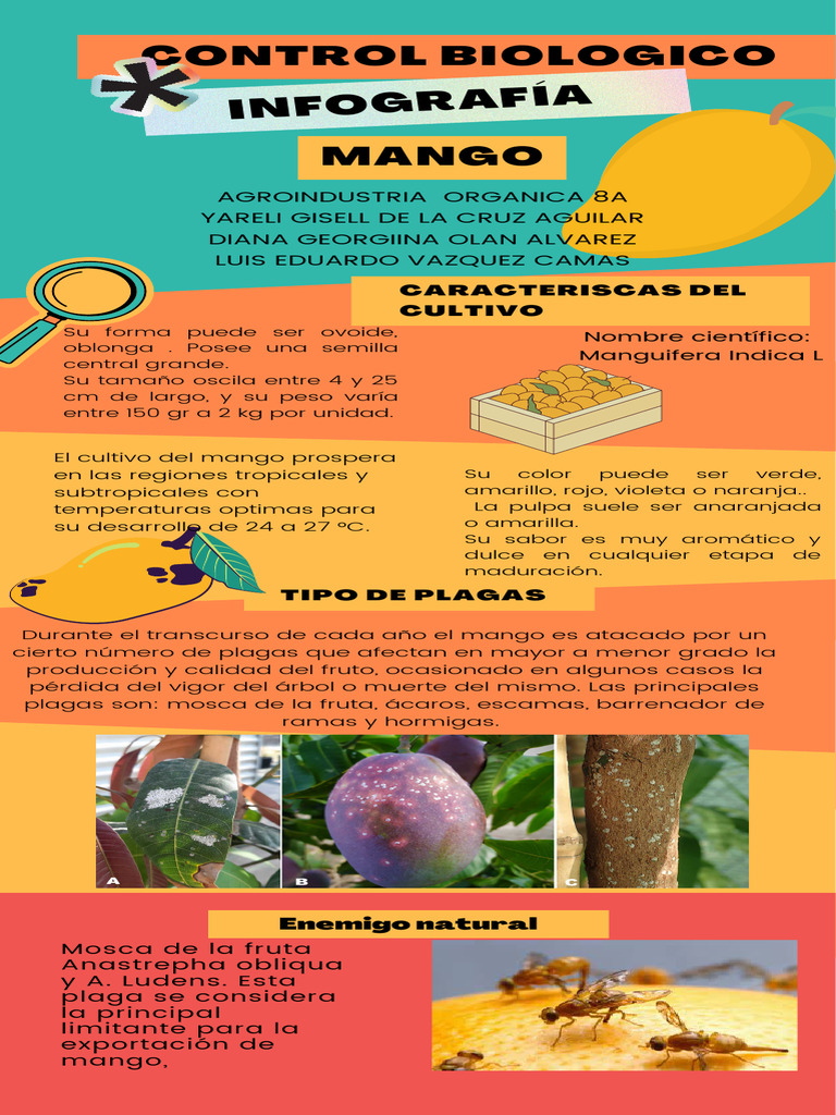 Presentacion Control Biologico | PDF | Mango