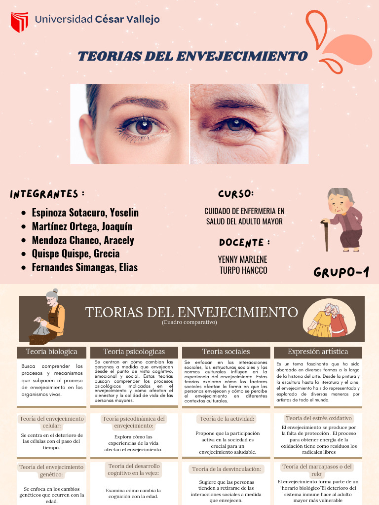 Cuadro Comparativo | PDF | Envejecimiento | Vejez