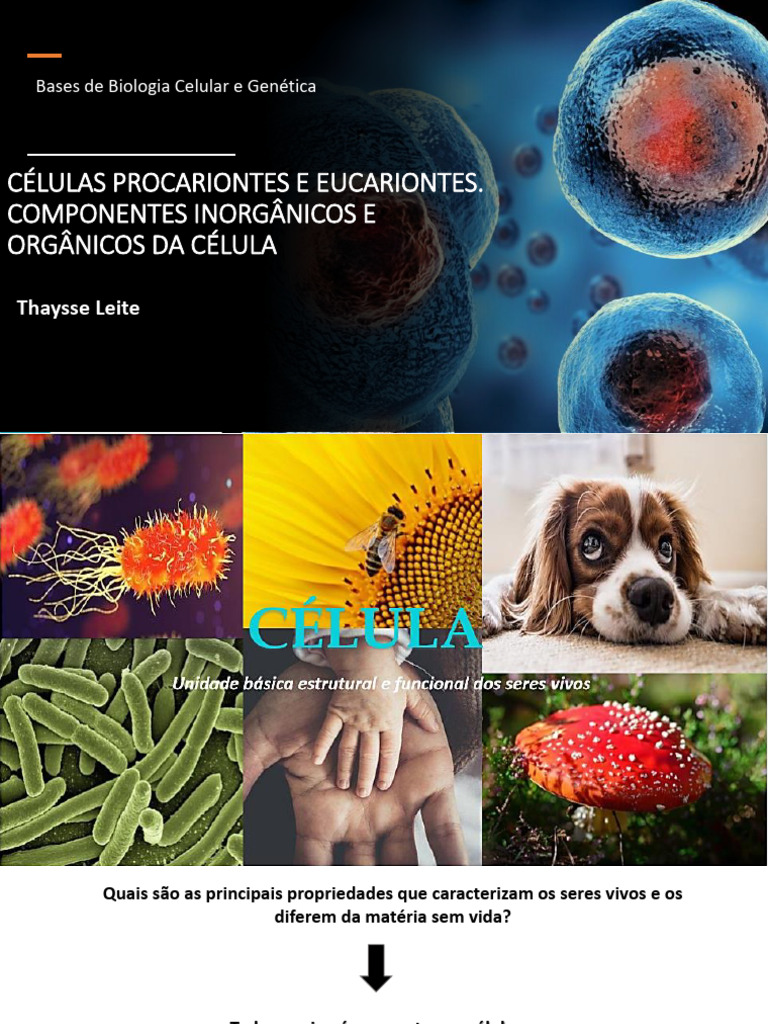 Aula 1 Biocel | PDF | Célula (Biologia) | Organismos
