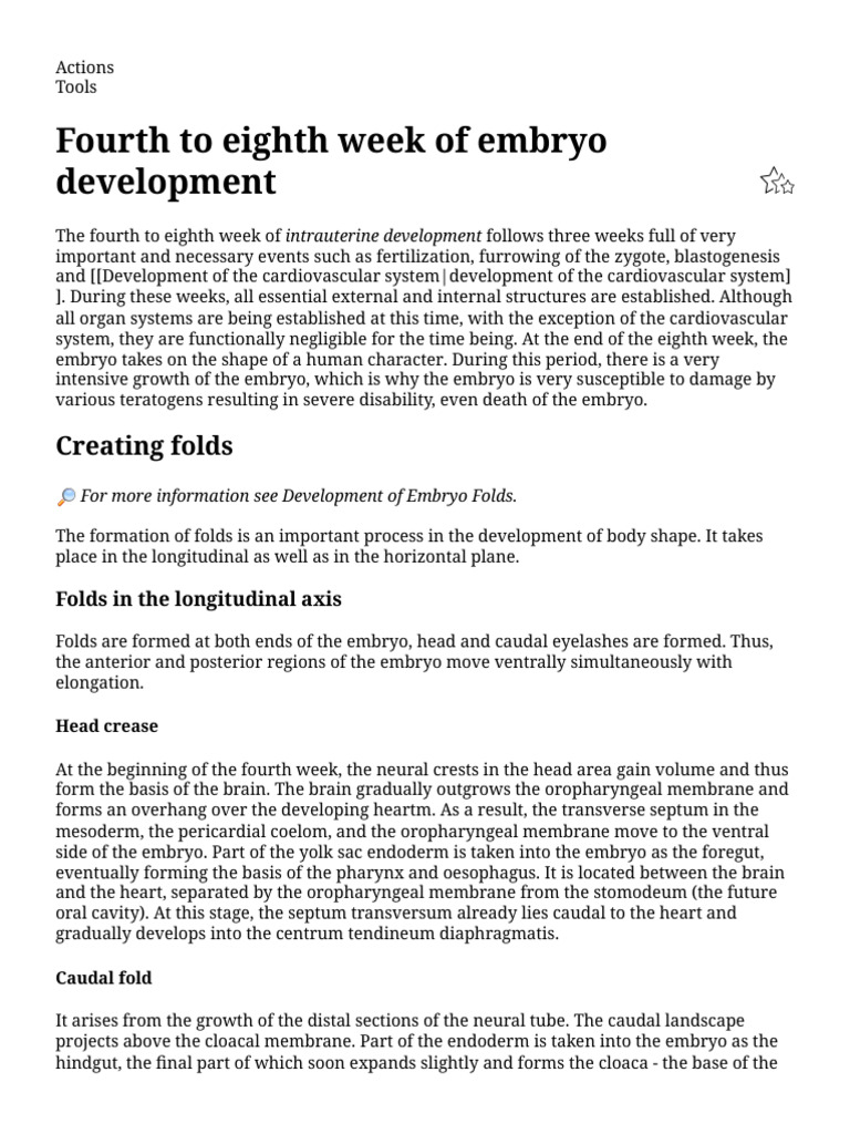 Fourth To Eighth Week of Embryo Development - WikiLectures | PDF | Anatomy