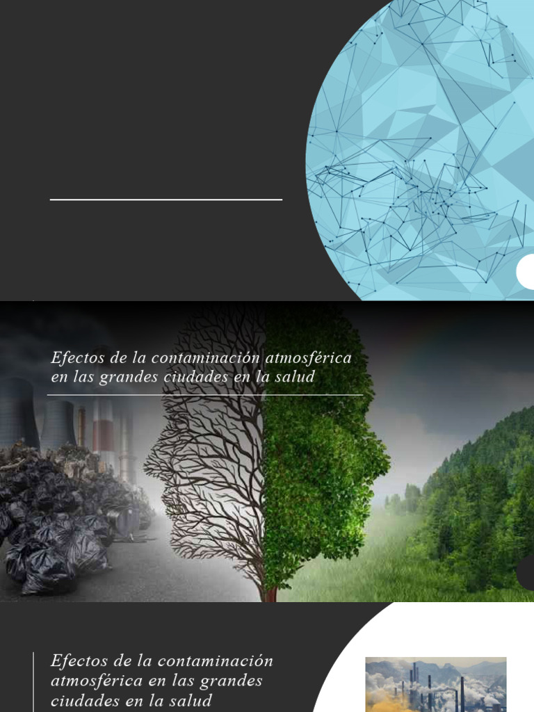 Contaminacion Atmosferica | PDF | La contaminación del aire | Partículas