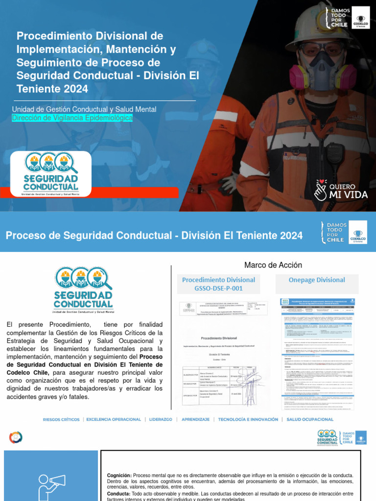 Estrategia DET - Procedimiento Seguridad Conductual DET ABRIL 2024 ...