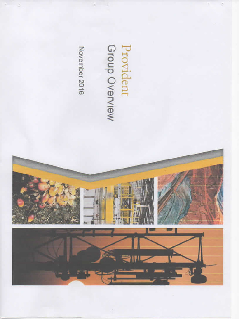Provident Group Overview199 | PDF