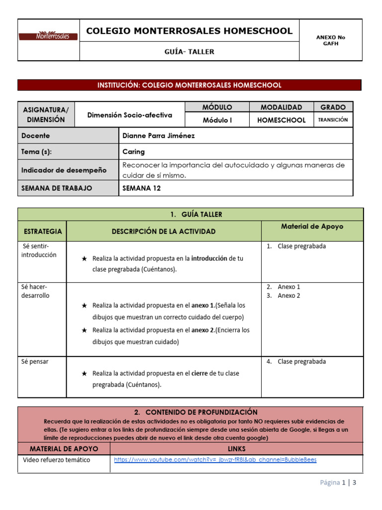 Guía Taller Trans Ds Sem 12 Caring | PDF