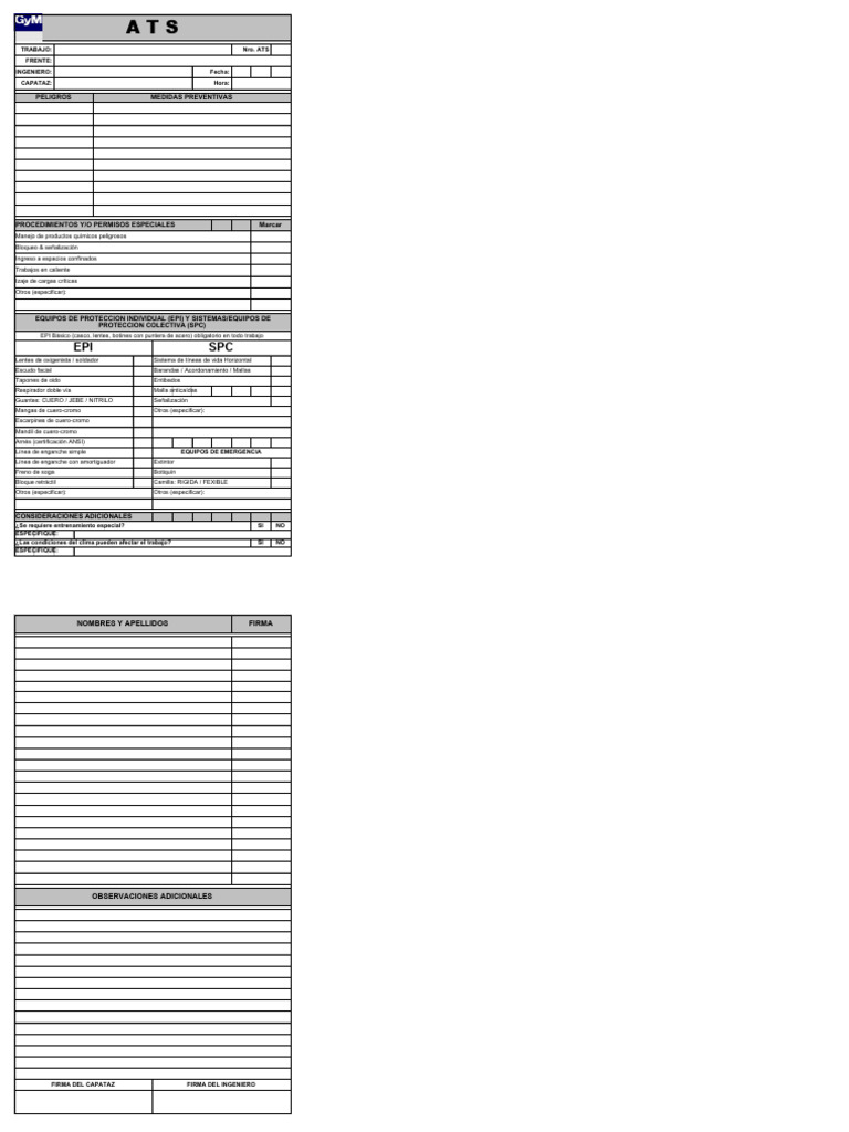 ATS Formato Tipo 3 | PDF
