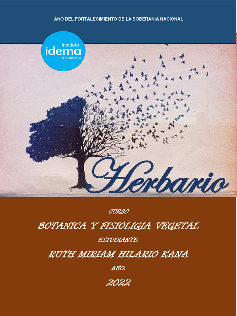 HERVARIO | PDF | Hierbas Medicinales Y Hongos | Botánica