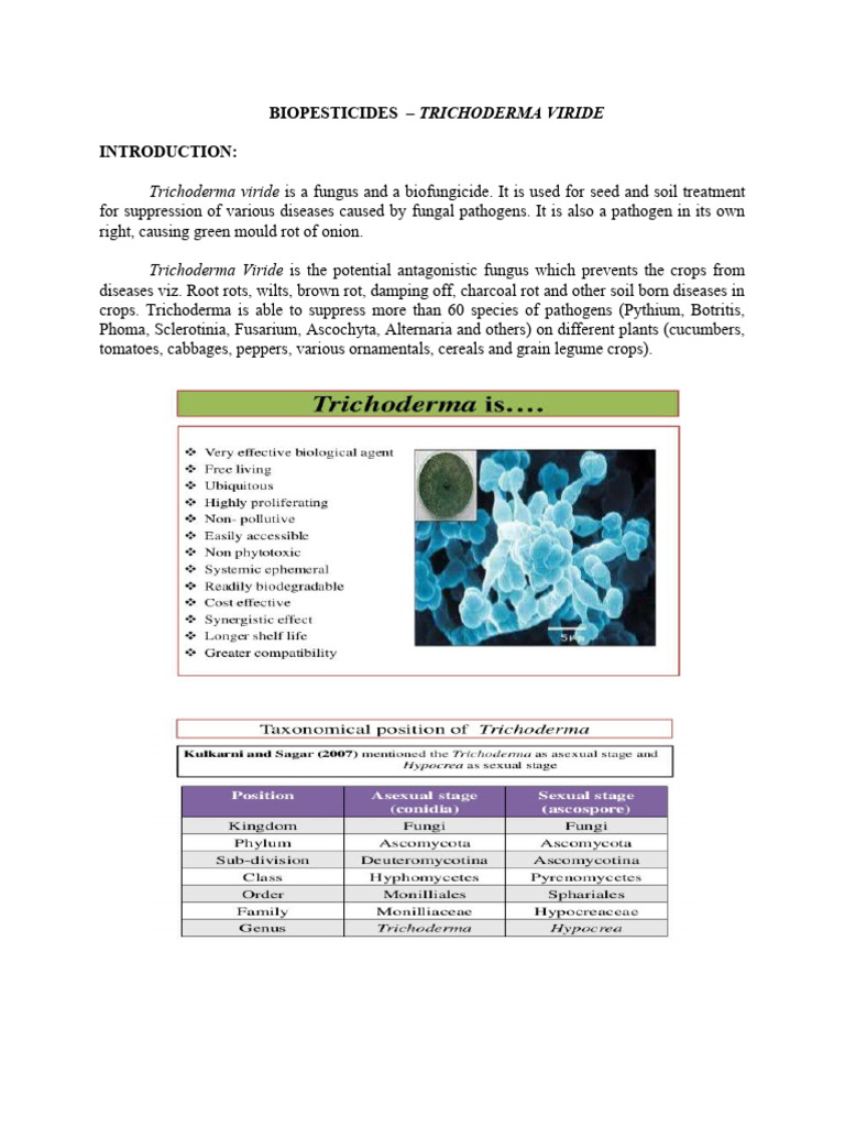 Trichoderma | PDF | Fungus | Botany