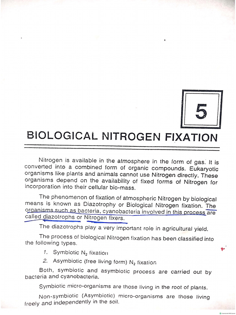 Biological Nitrogen Fixation | PDF