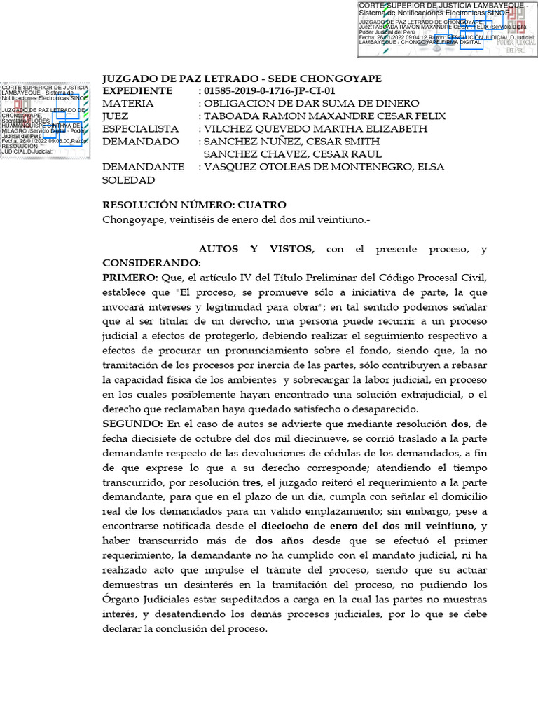 Sentencia Elsa | PDF | Gobierno | Ley Pública