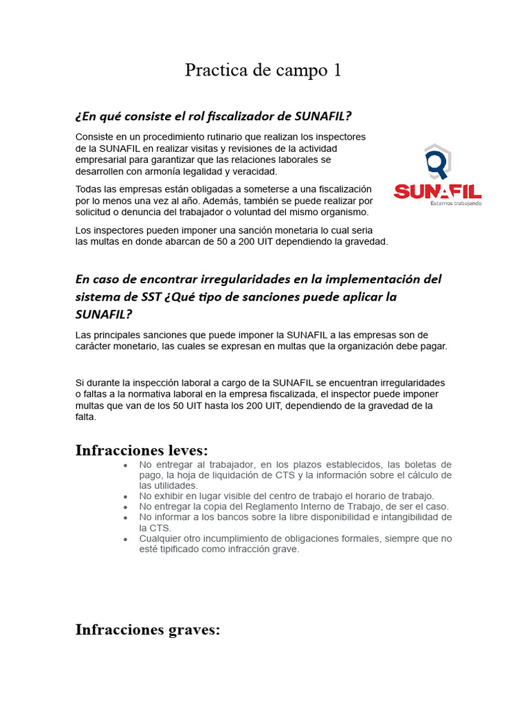 Practica de Campo 1 | PDF | Multa (pena) | Justicia