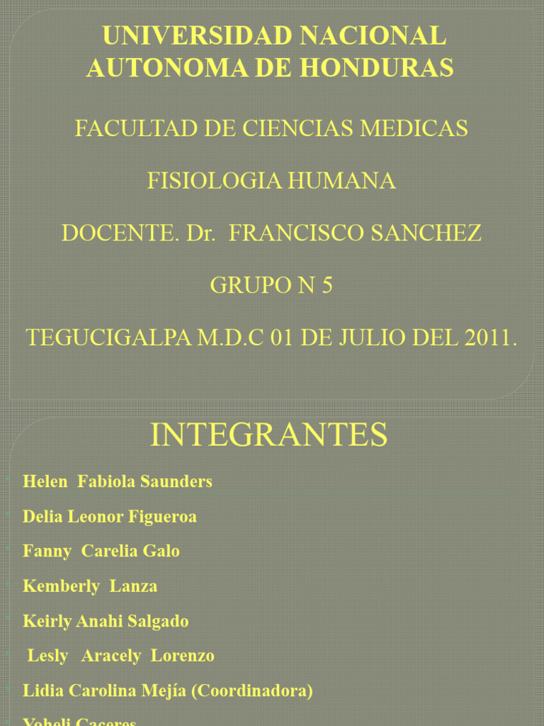 Desnutricion Pdf Obesidad Nutrición