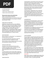 Understanding Polymelia: Causes and Cases | PDF | Medical Ultrasound ...