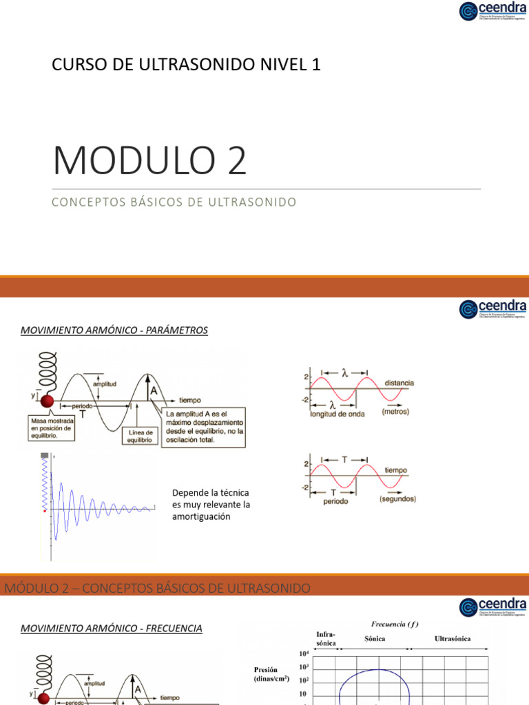 Ultrasonido Nivel 1 - Módulo 2 - Conceptos Básicos de Ultrasonido | PDF | Acústica | Olas