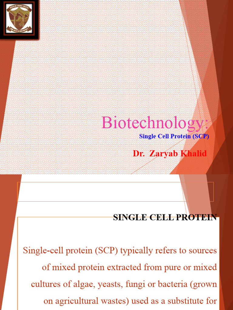 Single Cell Protein Production Methods | PDF | Fermentation | Biology