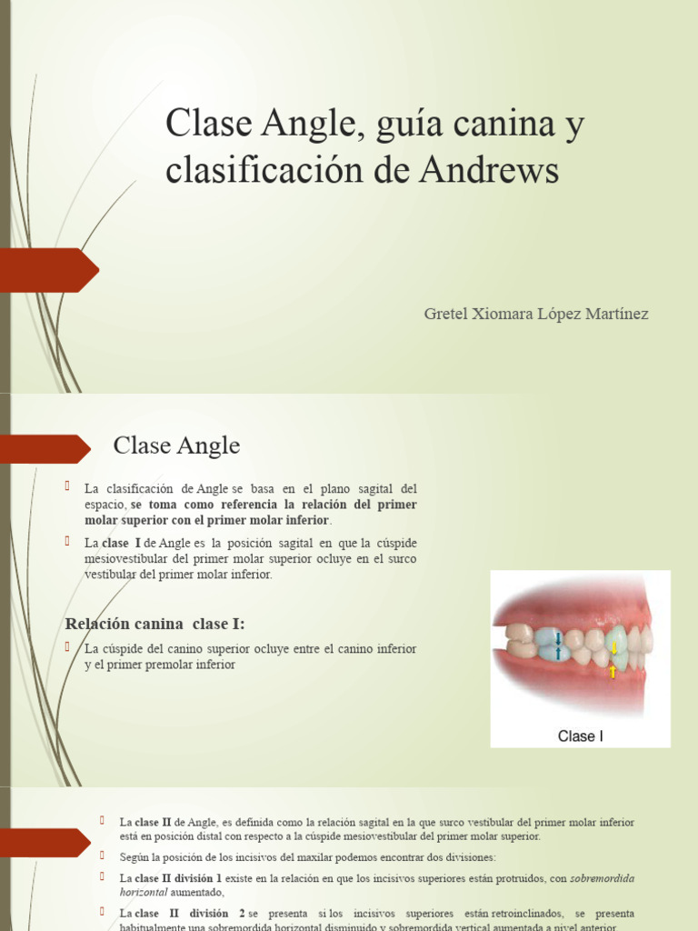 Clase Angle | PDF | Boca | Diente