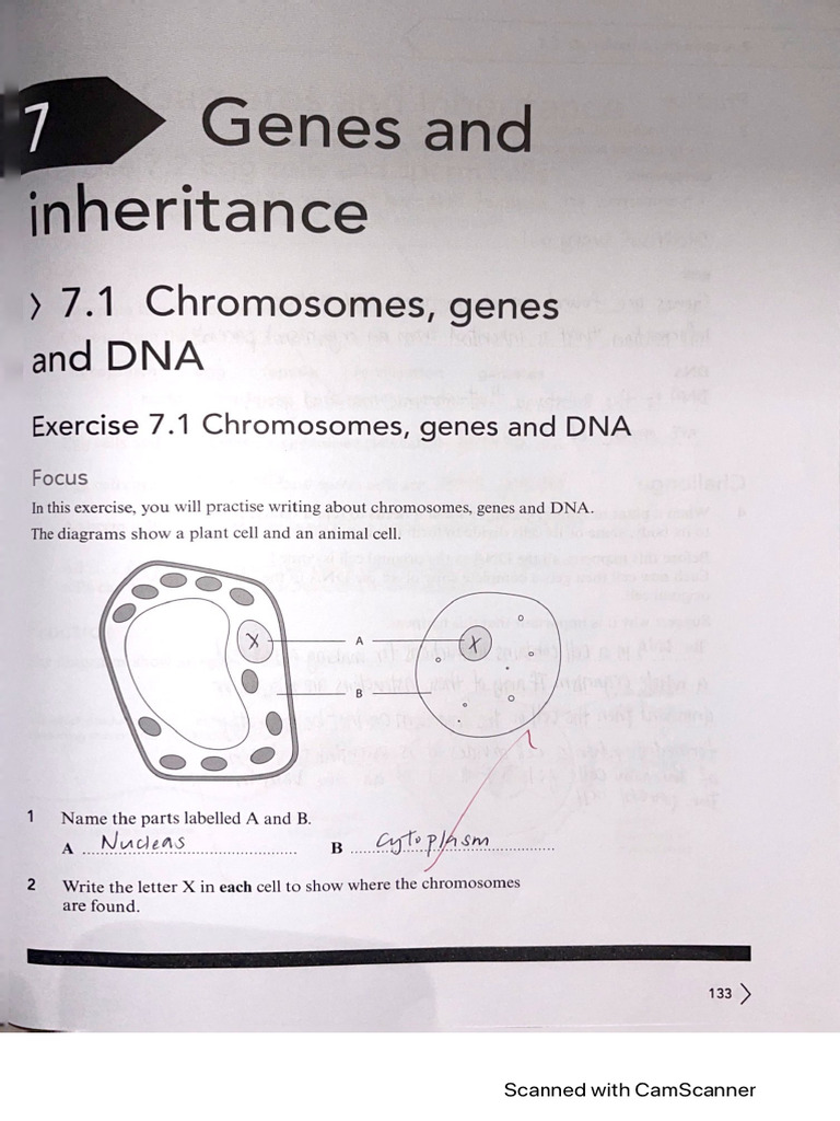 UNIT 7 WORKBOOK | PDF