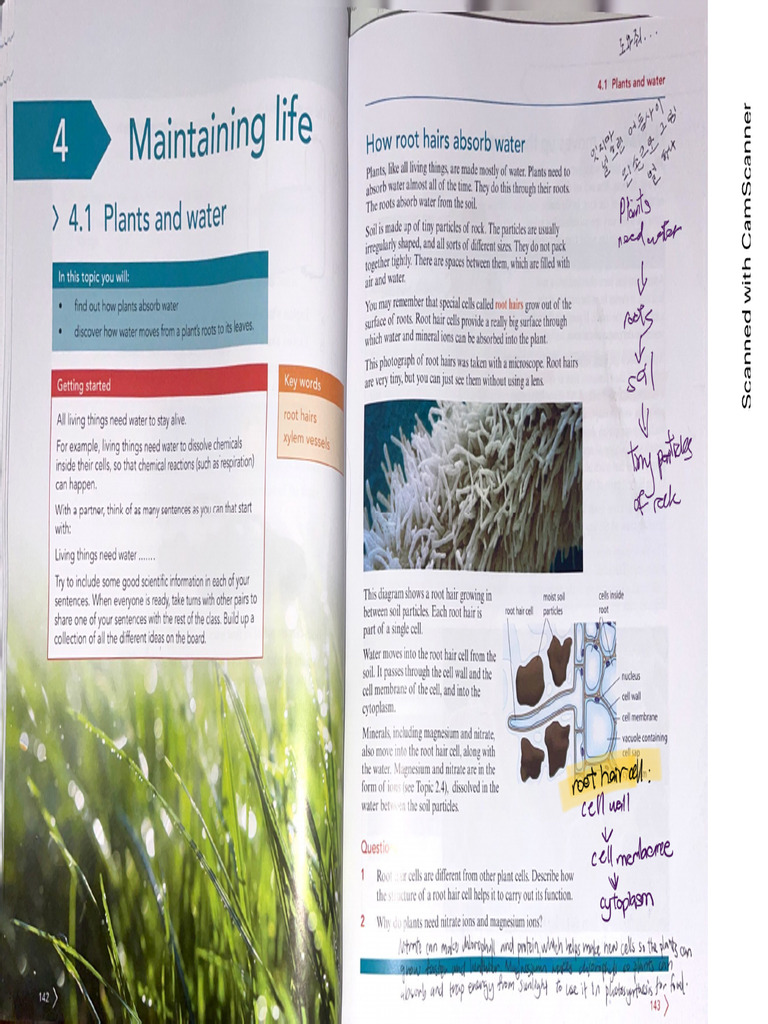 Science Unit 4 | PDF