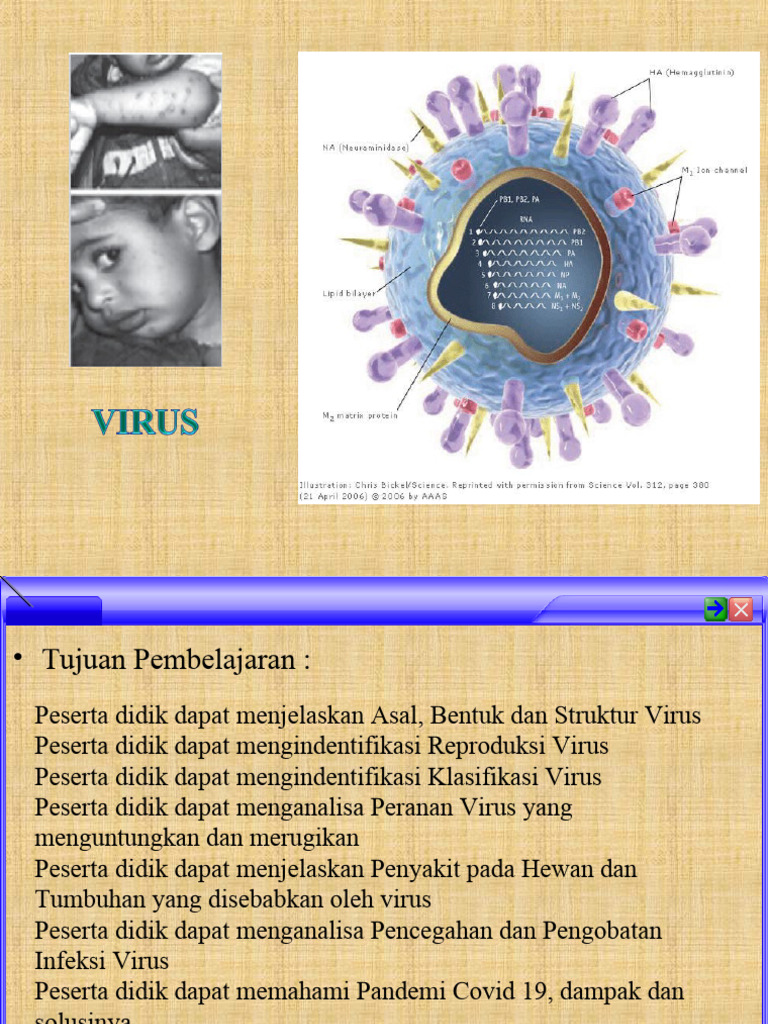 Virus | PDF | Pengembangan Diri | Kesehatan Holistik
