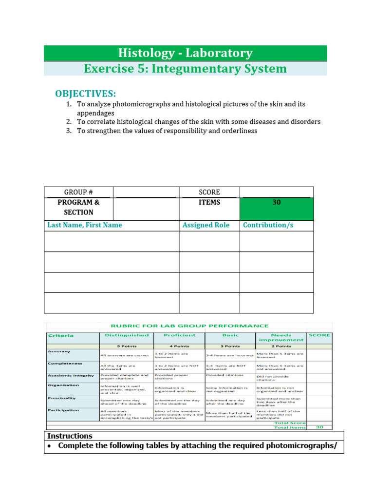 Laboratory Exercise 5 - Integumentary System | PDF | Skin | Epidermis