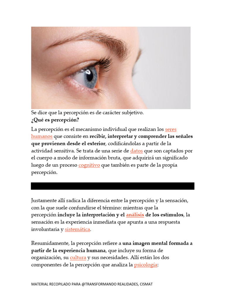 Entendiendo la Percepción Humana | PDF | Percepción | Procesos mentales