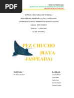 Características del Pez Coporo en Venezuela | PDF | Pescado | Zoología