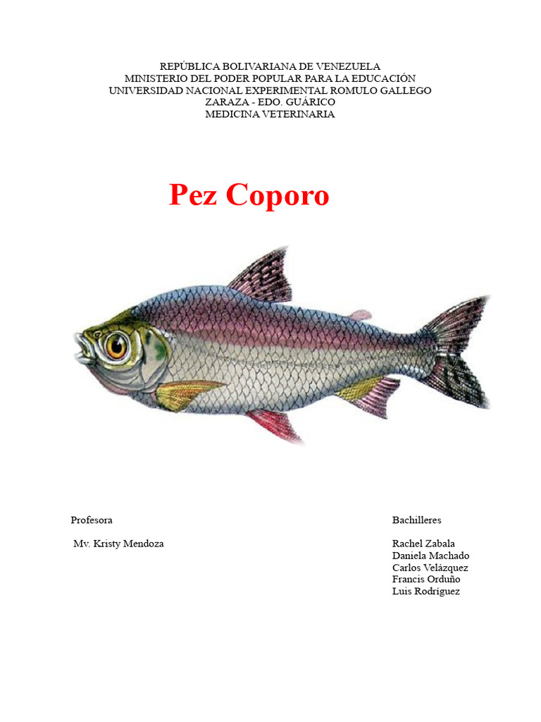 Pez Coporo | PDF | Pescado | Zoología