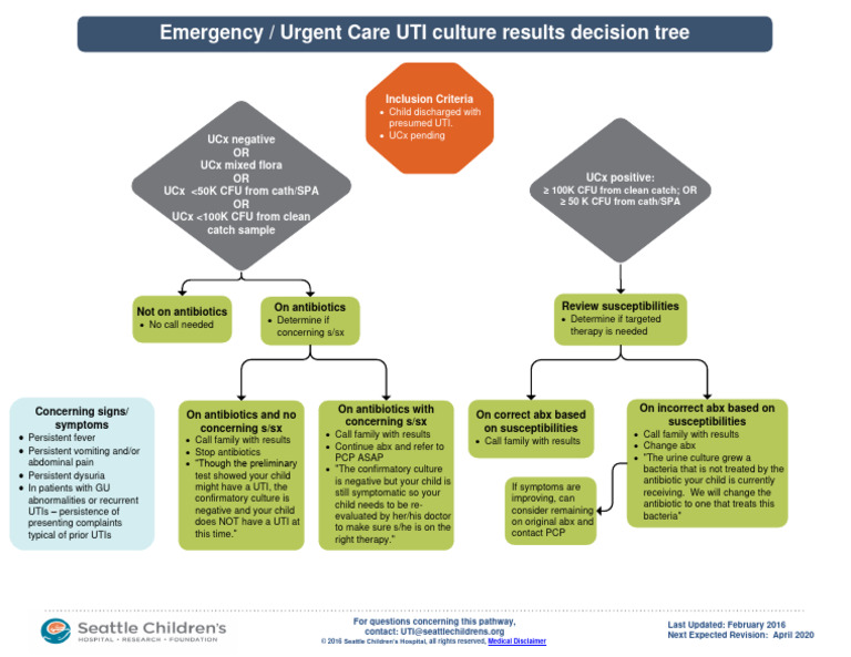 84 - UTI Ed and Uc Culture Results Decision Tree | PDF