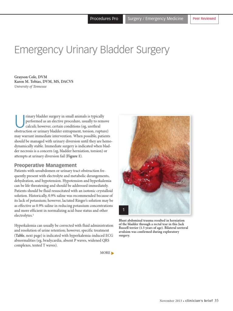Emergency Urinary Bladder Surgery Guide | PDF | Diseases And Disorders ...