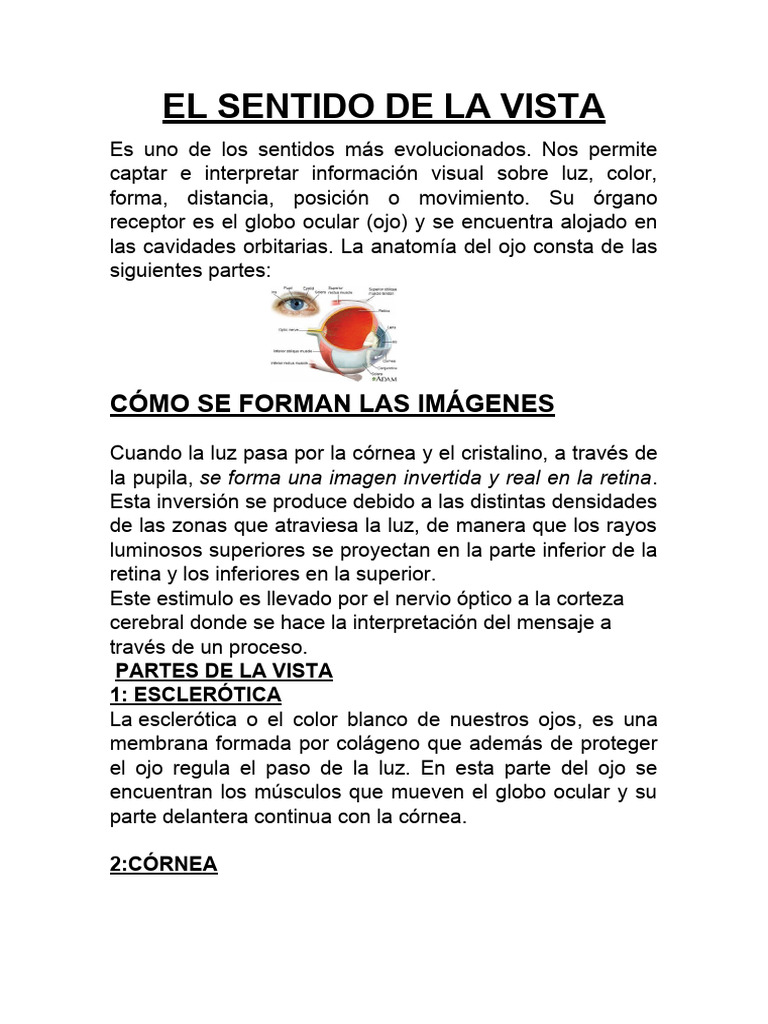 EL SENTIDO DE LA VISTA final RESUMIDO | PDF | Ojo humano | Ojo EL SENTIDO DE LA VISTA final RESUMIDO | PDF | Ojo humano | Ojo