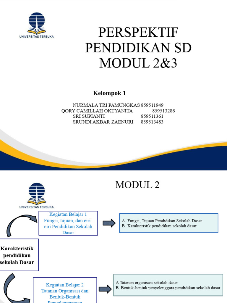 Kel 1 Perspektif Pend SD Modul 2&3 | PDF | Karier & Perkembangan | Ilmu Sosial