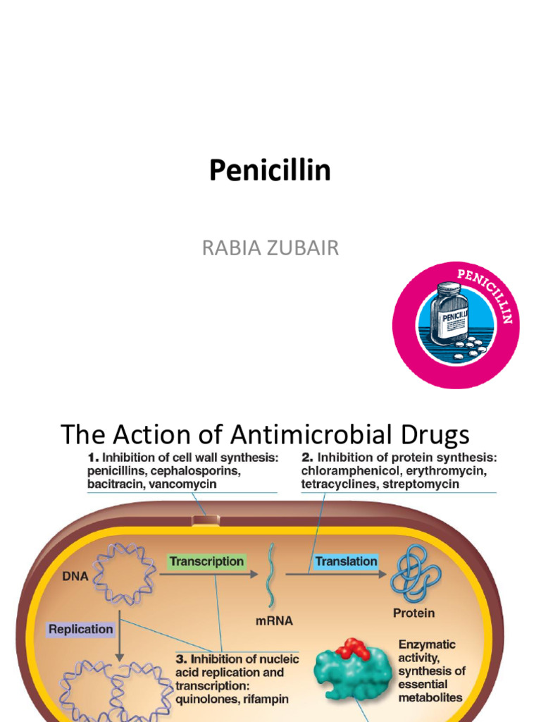 Penicillin | Download Free PDF | Penicillin | Antibiotics