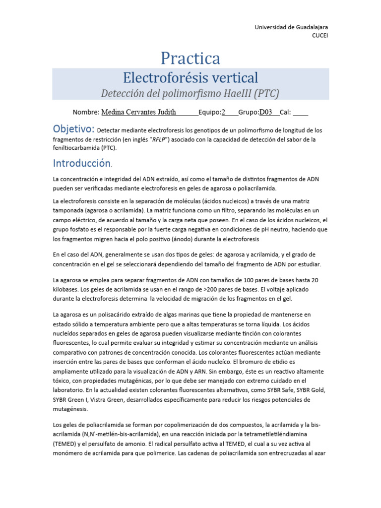 Electroforeis vertical-PCT | PDF | Electroforesis en gel de agarosa ...