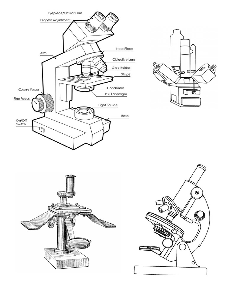 Microscope Diagram | PDF