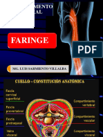Musculos - Faringe | PDF | Cabeza y cuello humanos | Anatomía humana