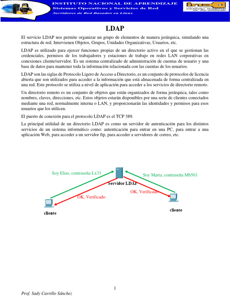 Guía Completa de LDAP para Empresas | PDF | Red de computadoras | Archivo de computadora