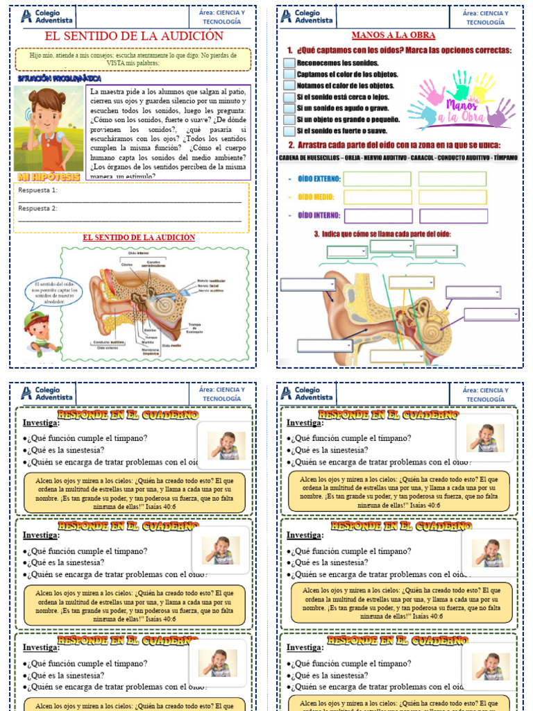 Ficha 3 - Sentido de La Audición | PDF | Escuchando