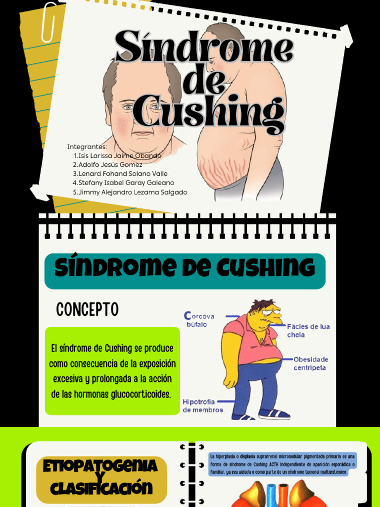 Síndrome de Cushing: Diagnóstico y Tratamiento | PDF | Hormona ...