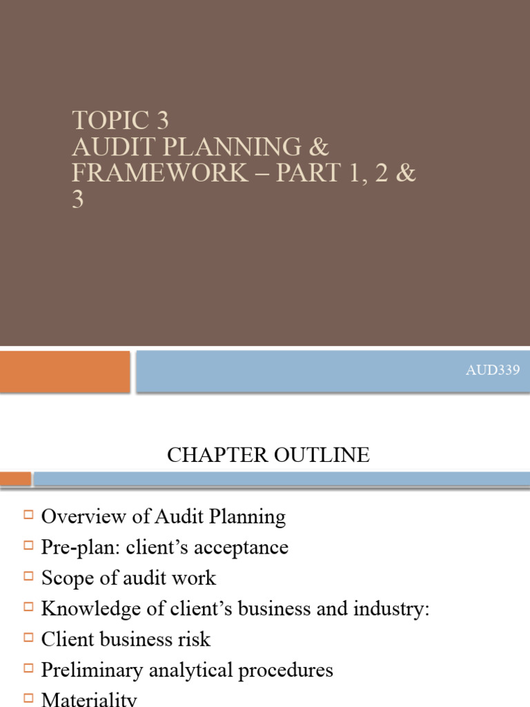 Audit Planning Essentials | PDF | Audit | Internal Control