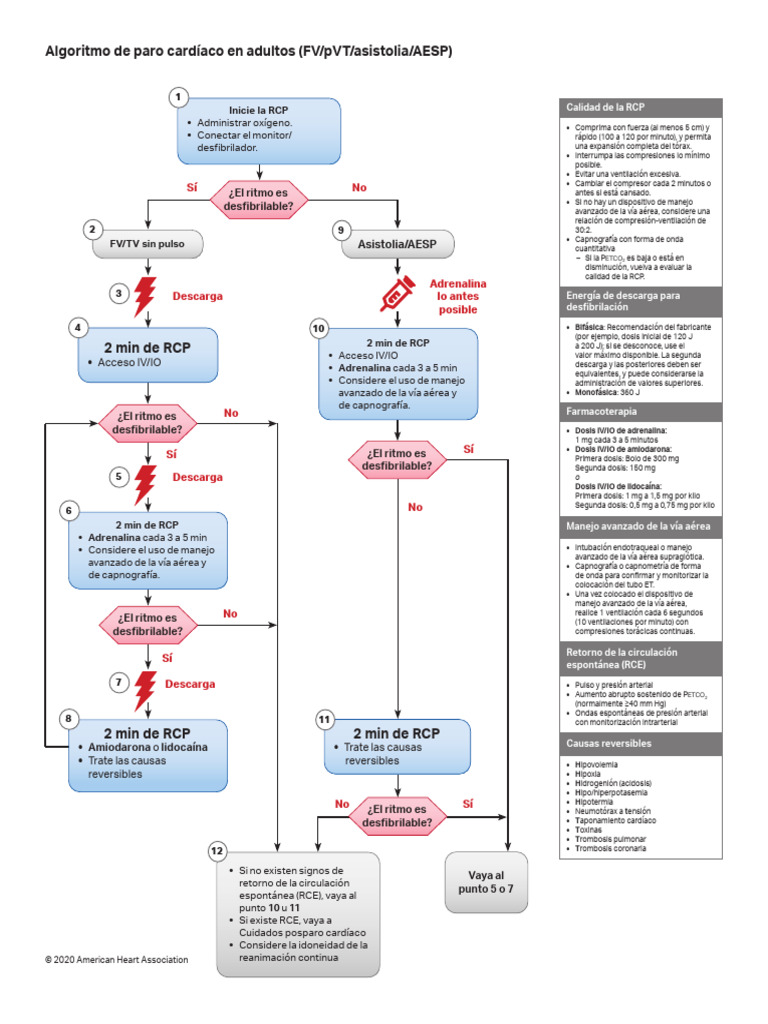 Algorithm-ACLS CA 200731 | PDF | Reanimación cardiopulmonar ...