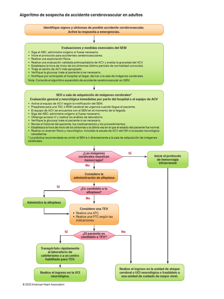 Algorithm-ACLS Suspected Stroke 200612 | PDF | Carrera | Neurología