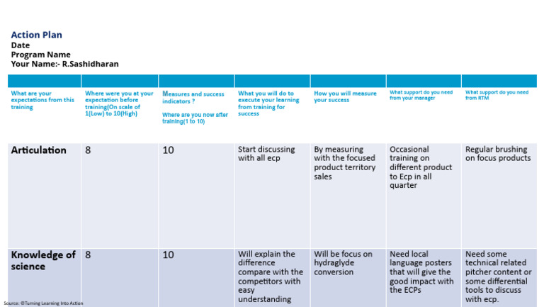 CL Action Plan Template 2024 | PDF | Cognition | Human Communication