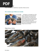 Philippine Fish Market Guide | PDF | Fish And Humans | Fish