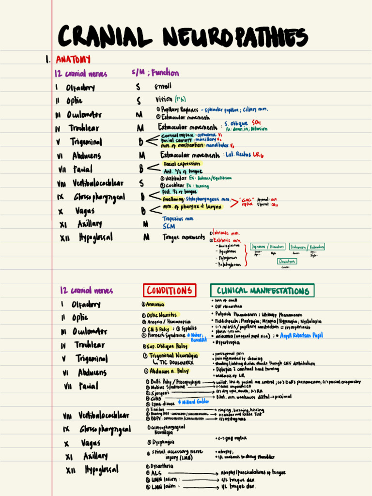 Cranial Neuropathies Topic Outline | Download Free PDF | Anatomy ...